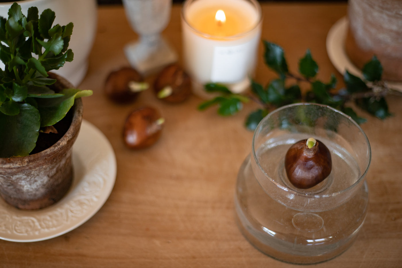 Shop at Wonderful Life Farm