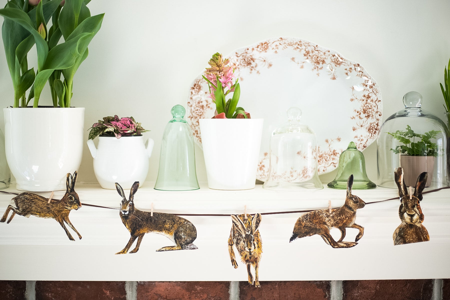 Shop at Wonderful Life Farm